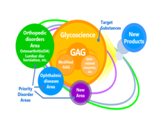 Process of new drug development | Our R&D | SEIKAGAKU CORPORATION